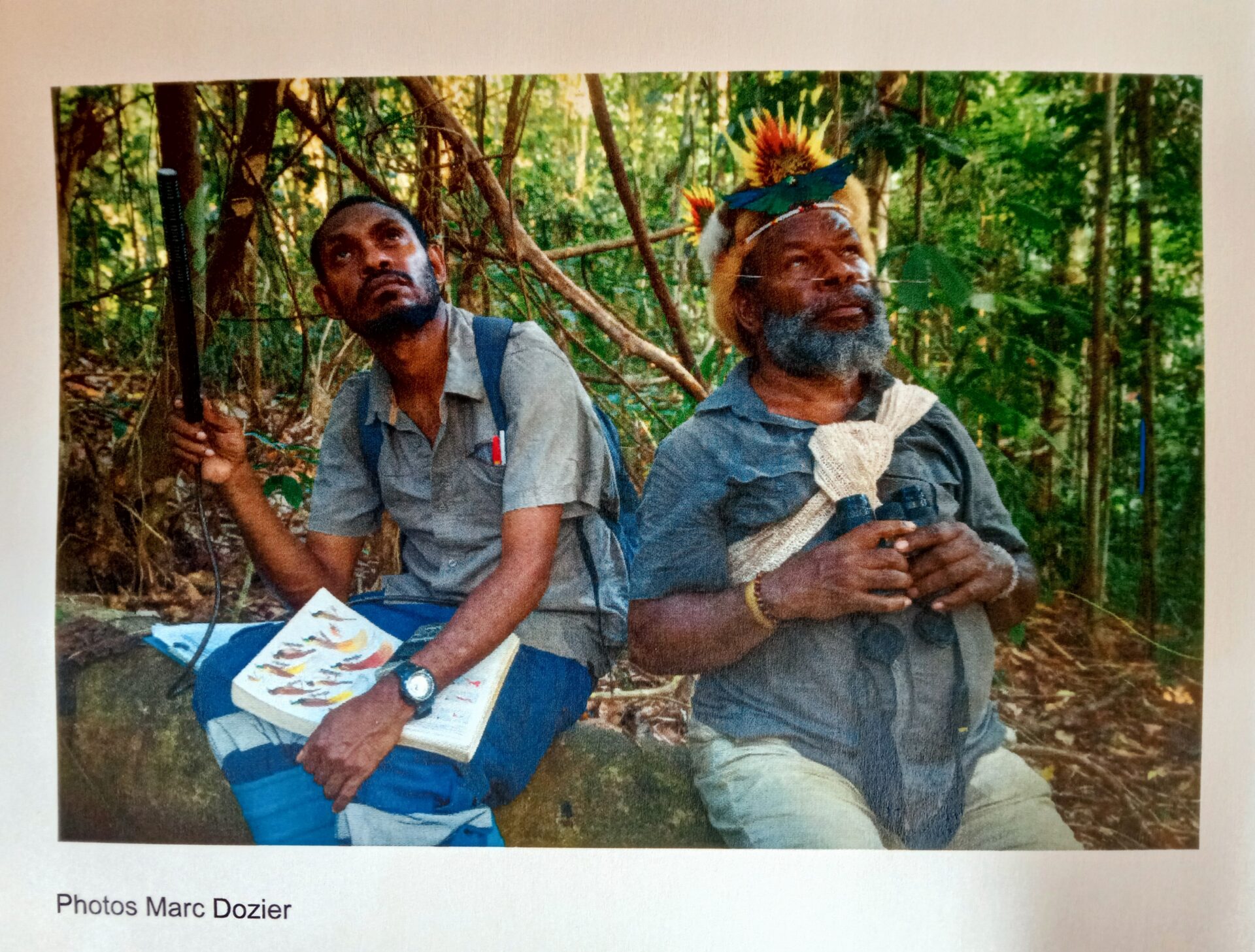 Un Papou parmi nous ! : Lycée Français International d'Agadir : Lycée ...